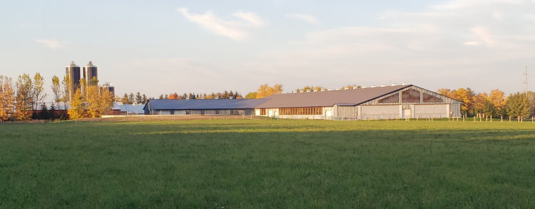 Keyser Creek Farms - Certified Organic, Grass-fed & Finished Beef
